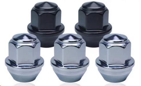 Ford Focus & Mondeo Alloy Steel Wheel Nuts – Chlosin Publicis